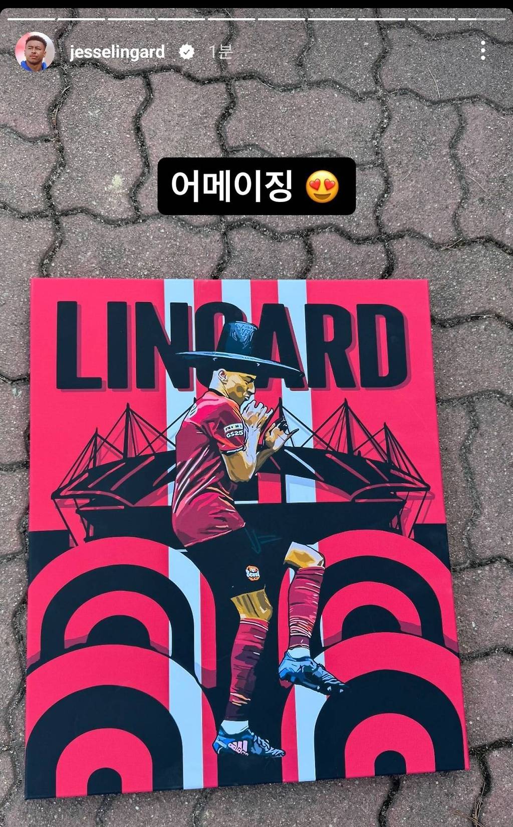 스포츠 늬 우스 Fc서울 콜라보한 제품이 마음에 든 린가드 Daum 카페