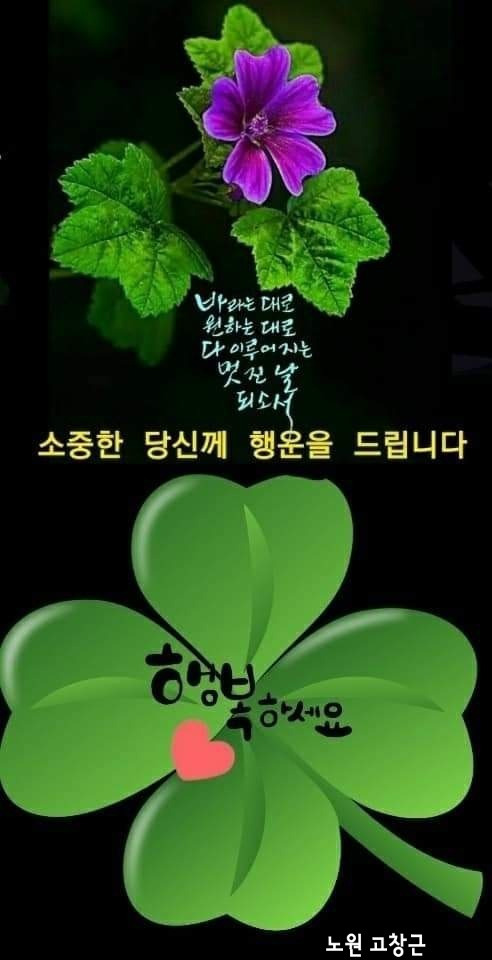 노원과 친구들 아침 인사 Daum 카페