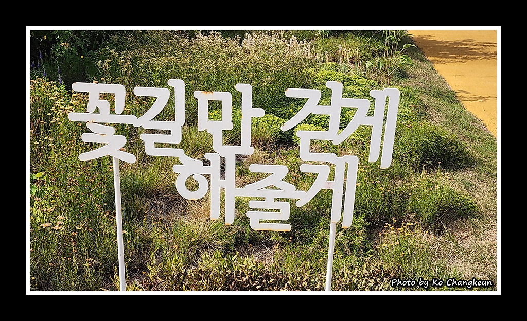 노원과 친구들 서울 노원 초안산招安山 산책 Daum 카페