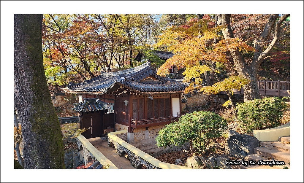 노원과 친구들 서울 성북 길상사吉祥寺의 가을 秋 Daum 카페