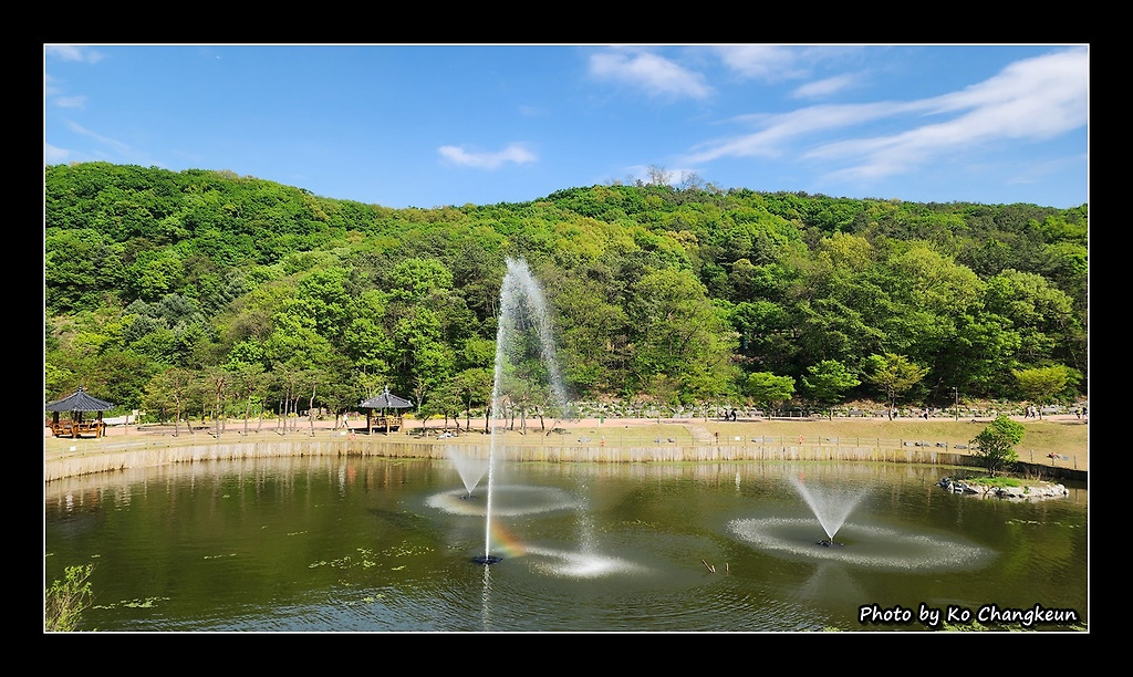 노원과 친구들 경기 군포 군포철쭉동산 초막골생태공원 산책 Daum 카페