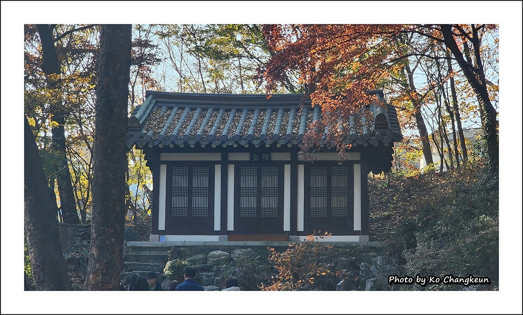 노원과 친구들 서울 성북 길상사吉祥寺의 가을 秋 Daum 카페
