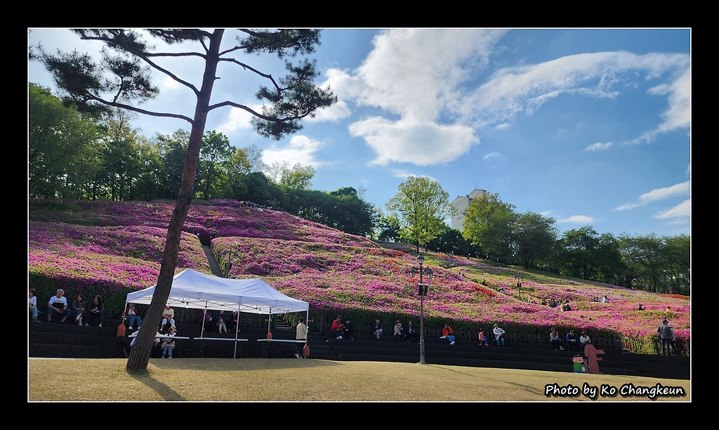 노원과 친구들 경기 군포 군포철쭉동산 초막골생태공원 산책 Daum 카페