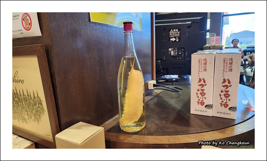 노원과 친구들 일본 오키나와 아와모리양조장 탐방 Daum 카페