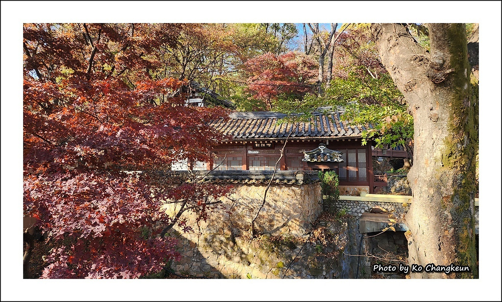 노원과 친구들 서울 성북 길상사吉祥寺의 가을 秋 Daum 카페