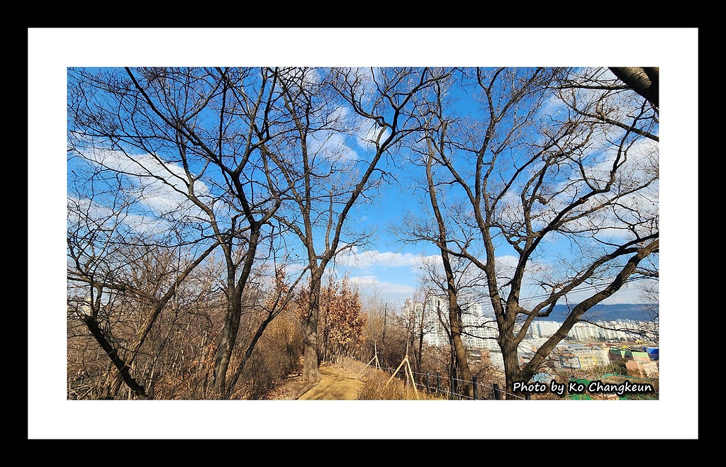 노원과 친구들 서울 동대문 배봉산拜峰山 둘레길 산책 Daum 카페