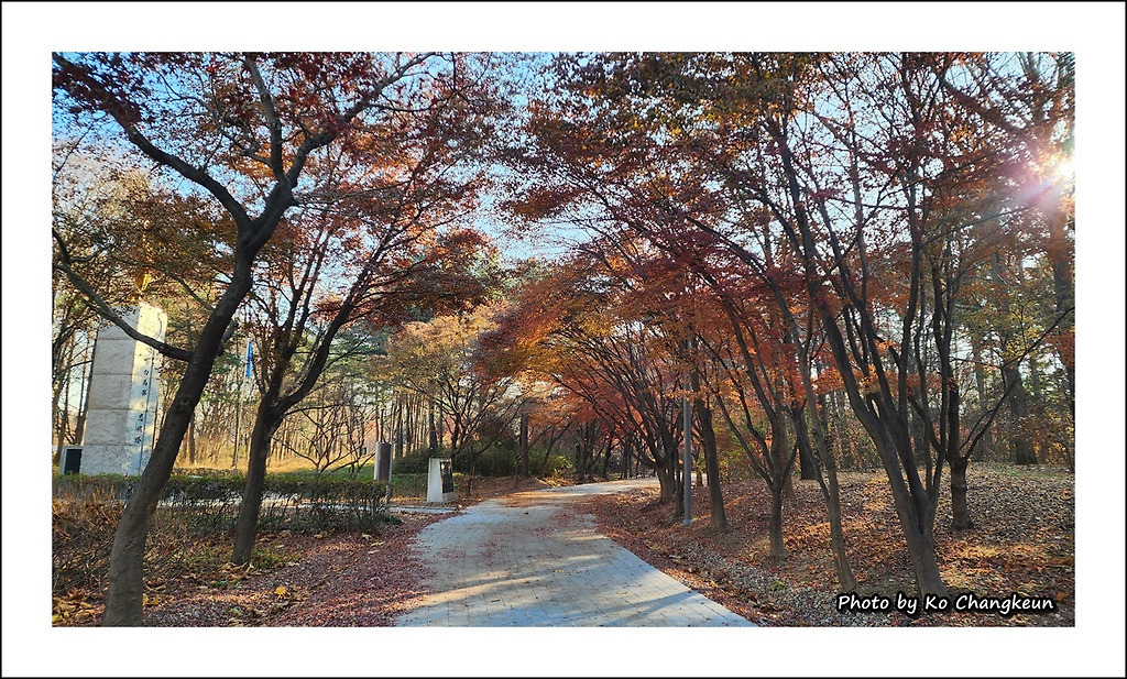 노원과 친구들 서울 서초 매헌시민의숲 산책 Daum 카페