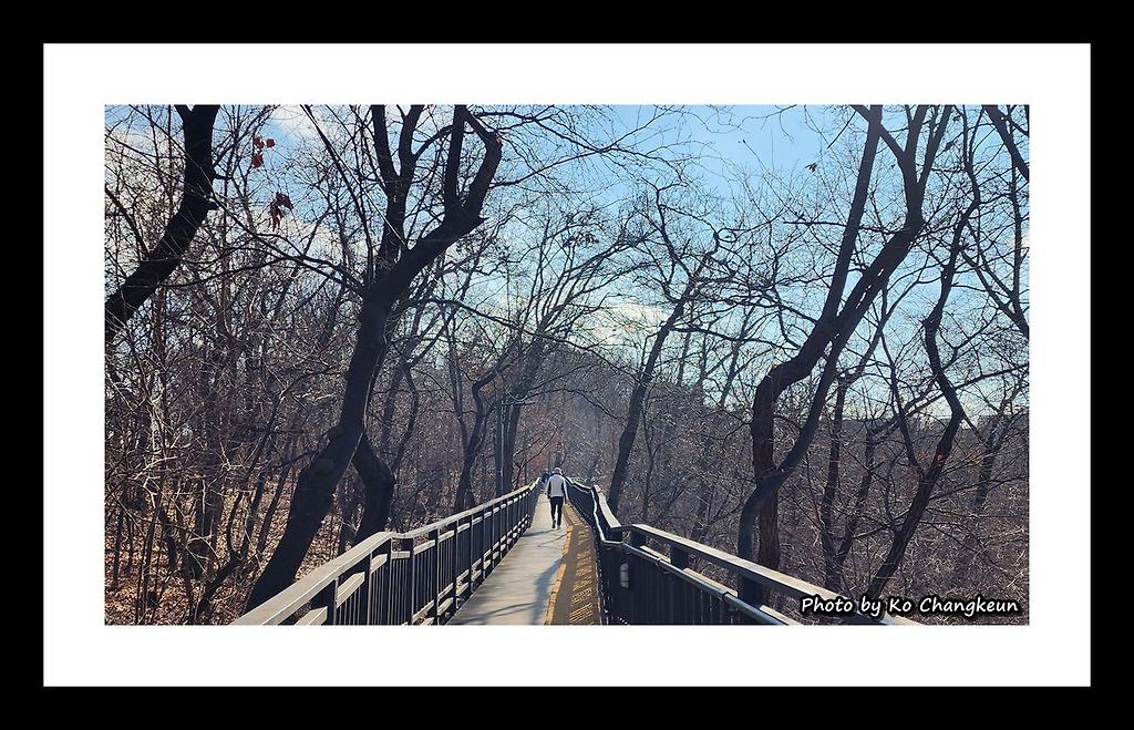 노원과 친구들 서울 동대문 배봉산拜峰山 둘레길 산책 Daum 카페