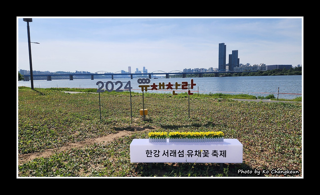 노원과 친구들 서울 서초 반포 서래섬 산책 Daum 카페