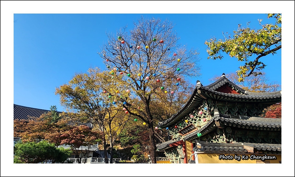 노원과 친구들 서울 성북 길상사吉祥寺의 가을 秋 Daum 카페