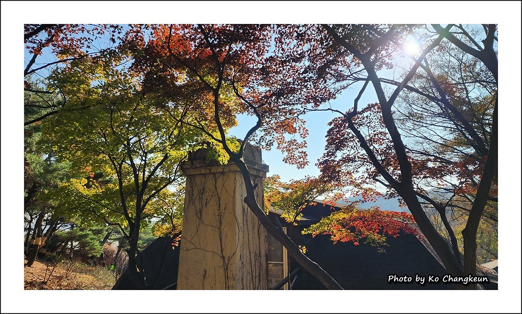 노원과 친구들 서울 성북 길상사吉祥寺의 가을 秋 Daum 카페