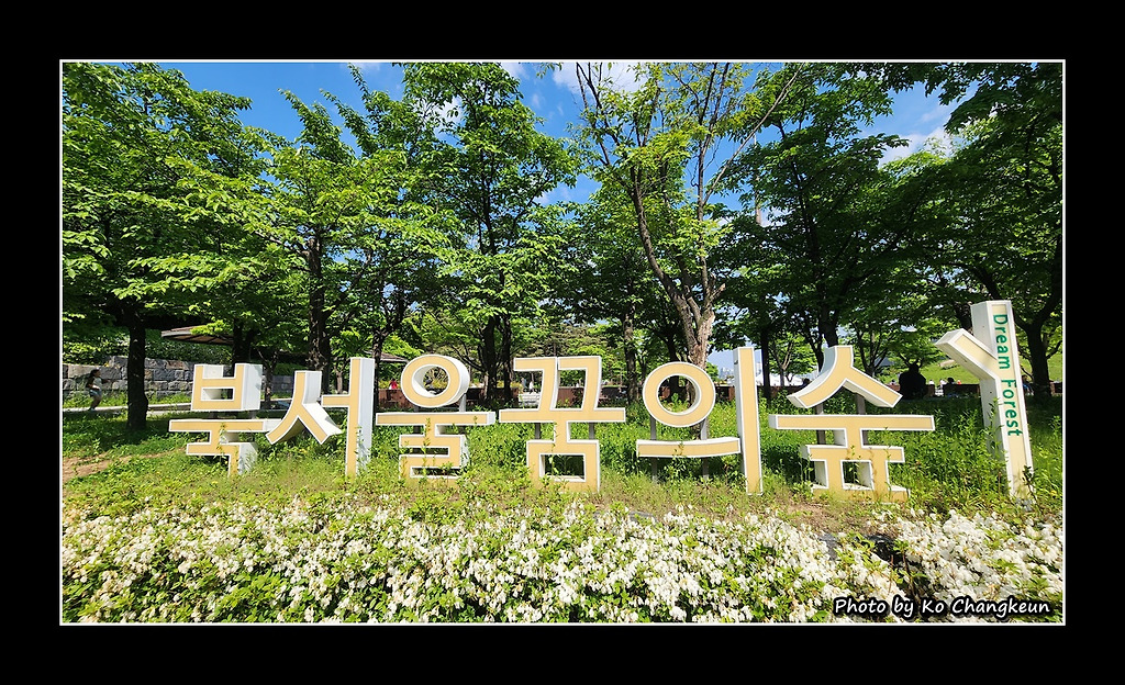 노원과 친구들 서울 강북 북서울꿈의숲 산책 Daum 카페