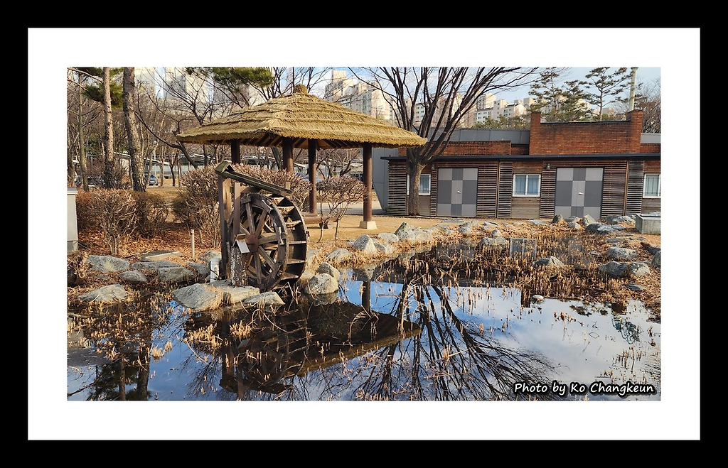 노원과 친구들 경기 부천 상동호수공원 산책 Daum 카페