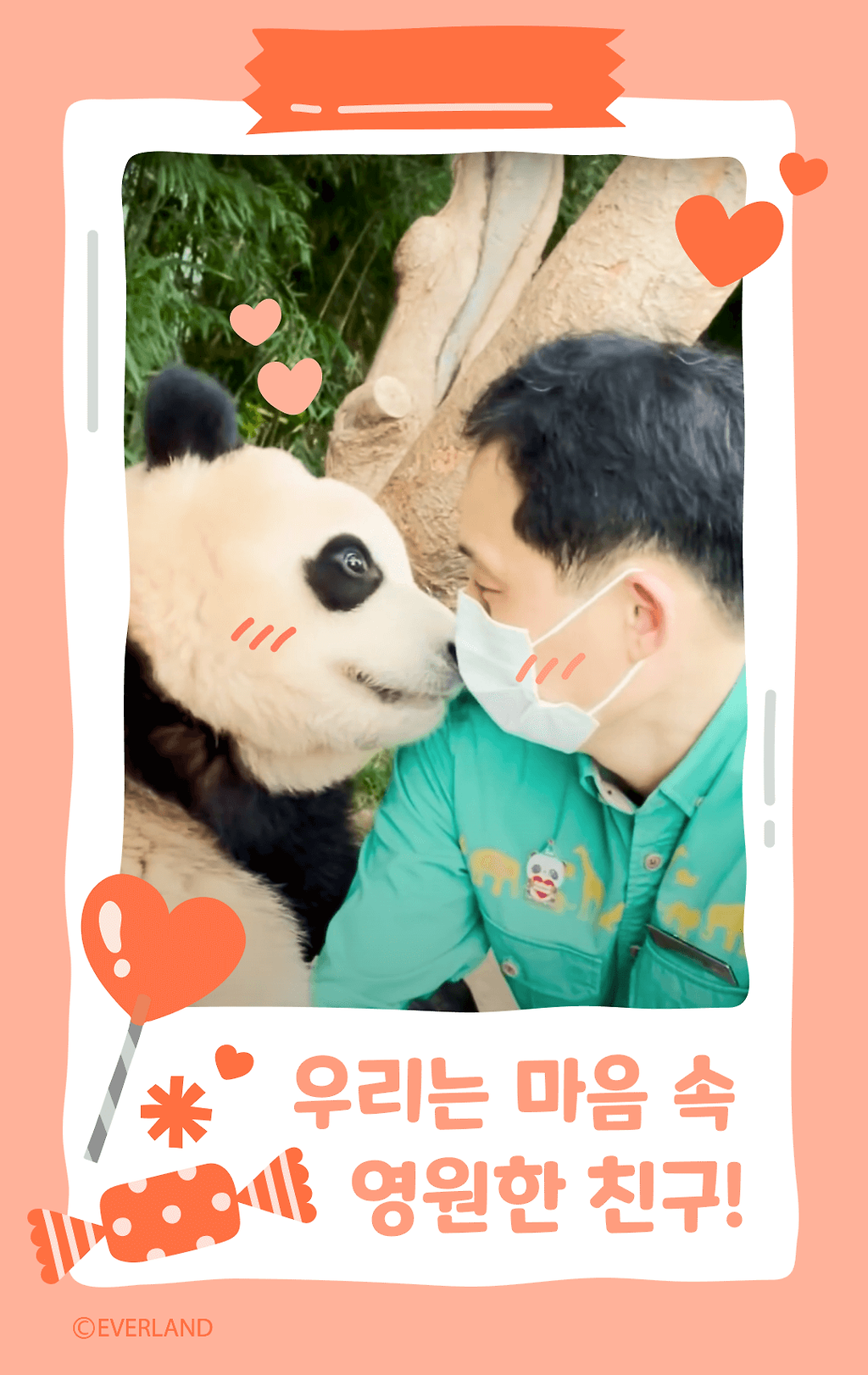 바오 가좍 푸바오가 보내는 편지 Daum 카페