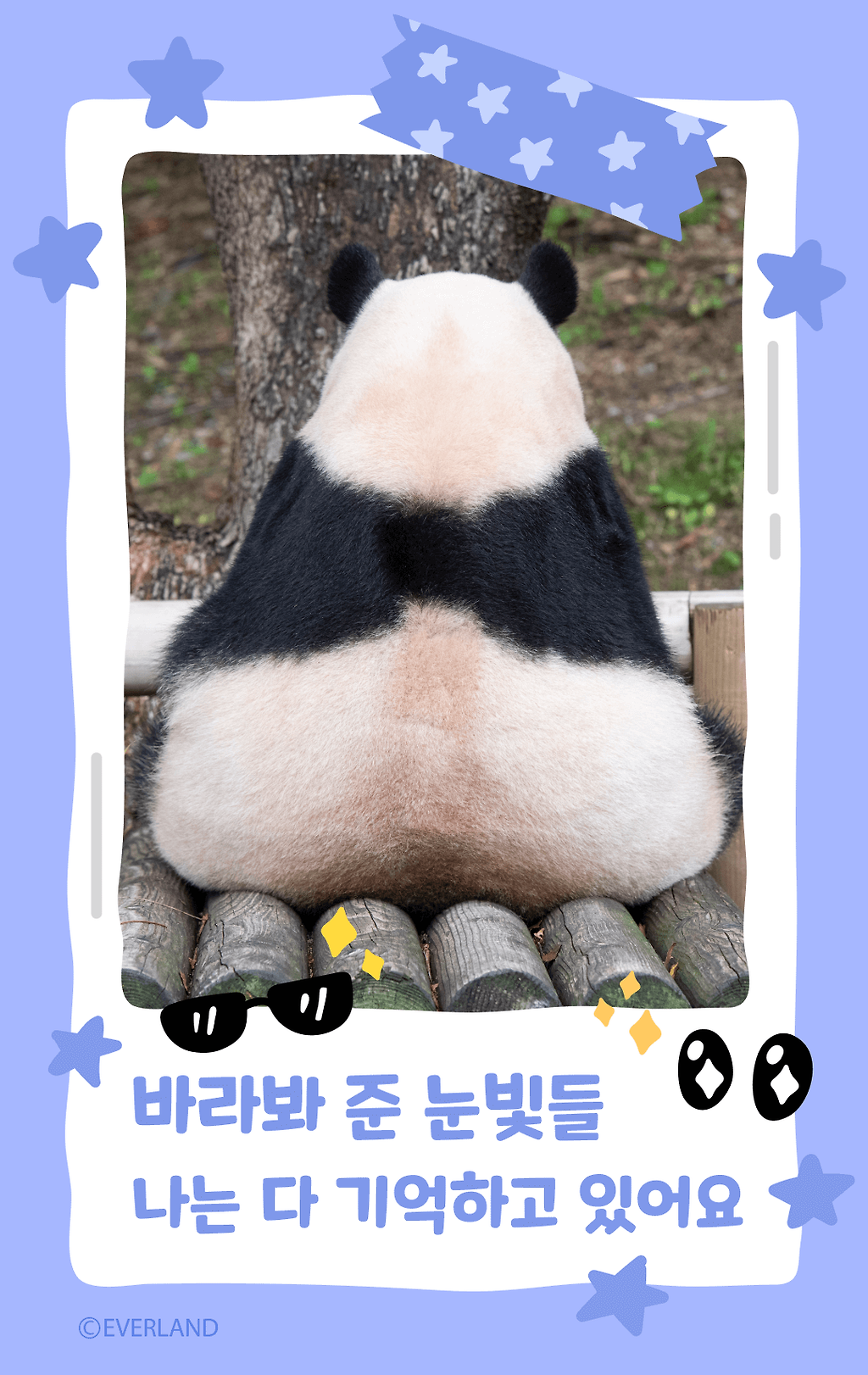 바오 가좍 푸바오가 보내는 편지 Daum 카페