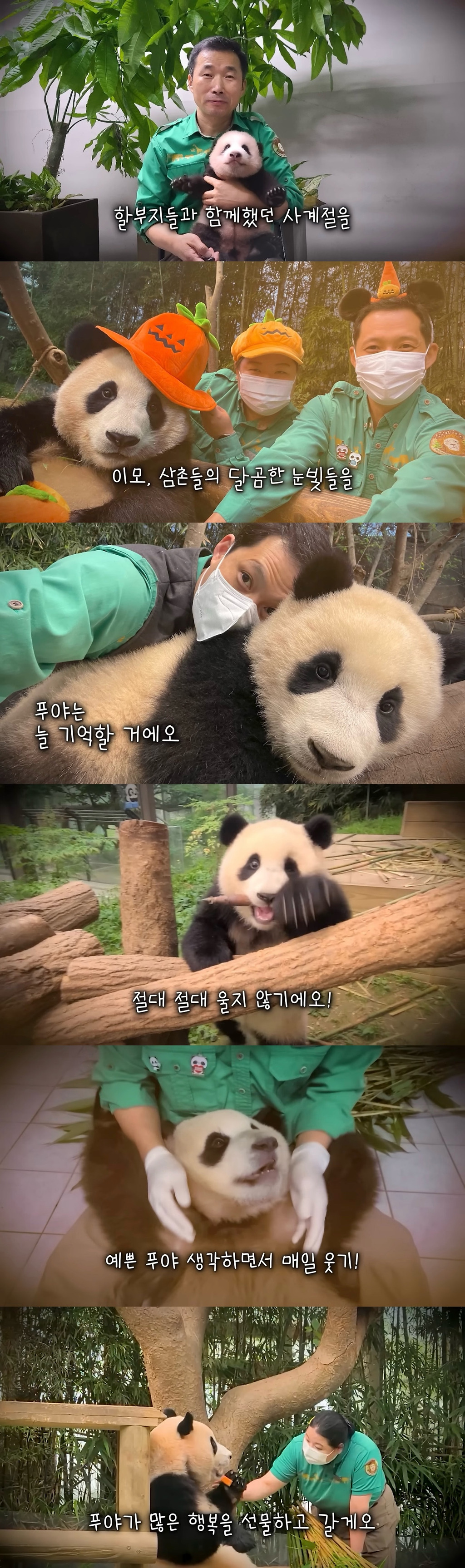 바오 가좍 🐼 푸야가 여러분에게 하고 싶은 말💌 Daum 카페