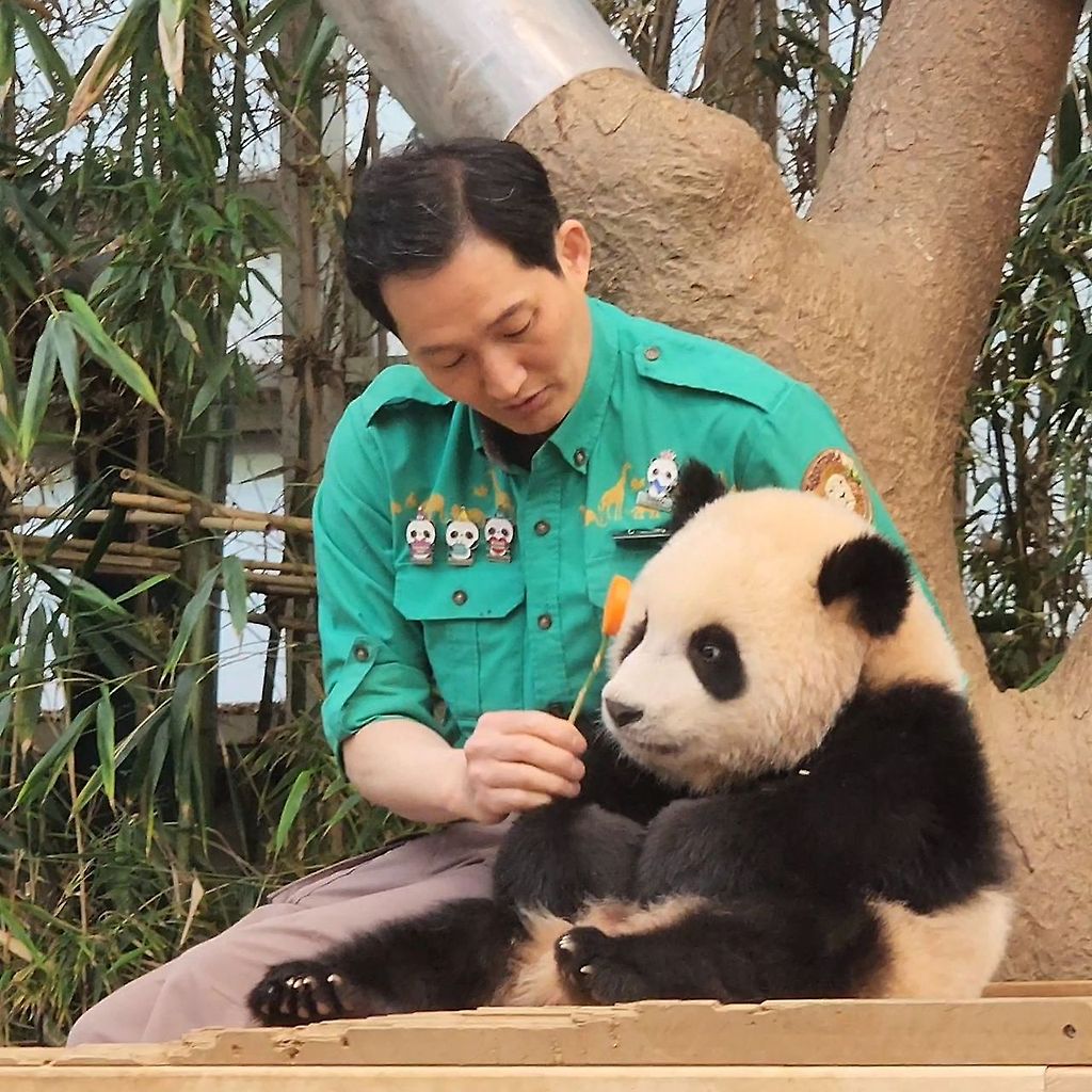 바오 가좍 당근사탕 받고 행복한 루이바오 🐼 Daum 카페