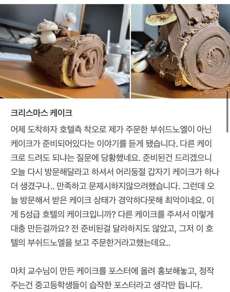 미리메리크리스마스 2021년 우리나라 크리스마스 호텔 케익들 실사 Daum 카페