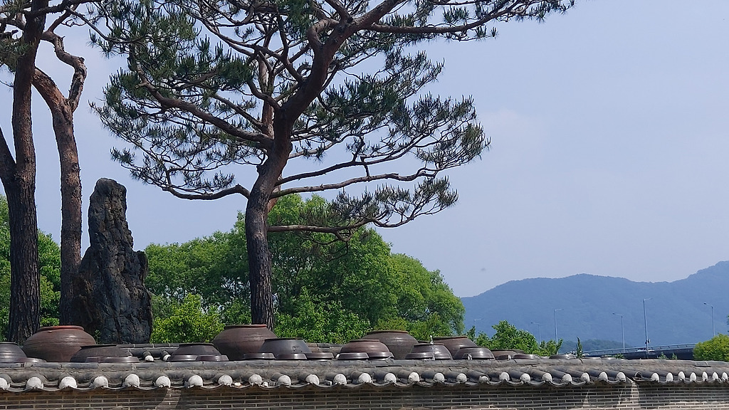 김동균의 테이블 2024년 5월 22일 무료공영주차장세미원세미원 배다리두물머리 Daum 카페
