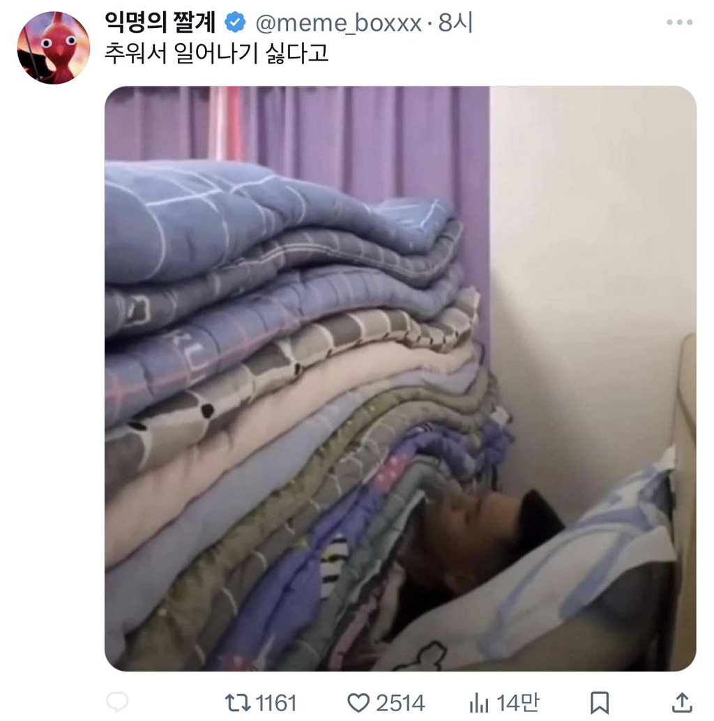 갤러리 정리 추워서 일어나기 싫음 Daum 카페