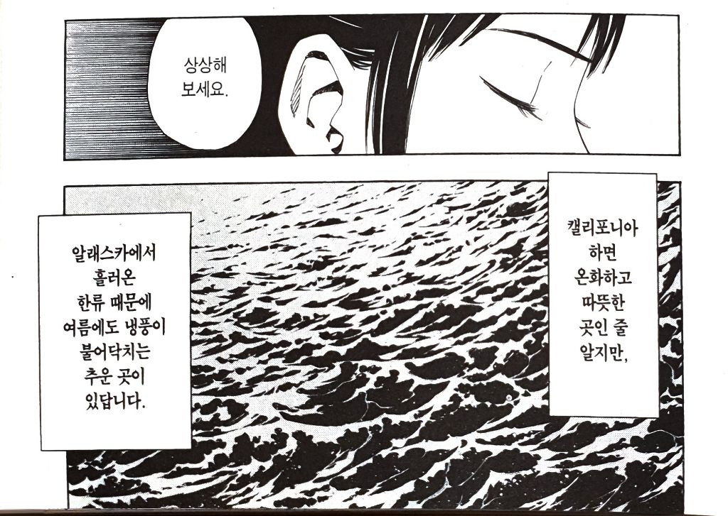 와인잡설 가벼운 와인수다 2024 와인 스펙테이터 43위 플라워즈 샤도네이 탄생 일화 Daum 카페