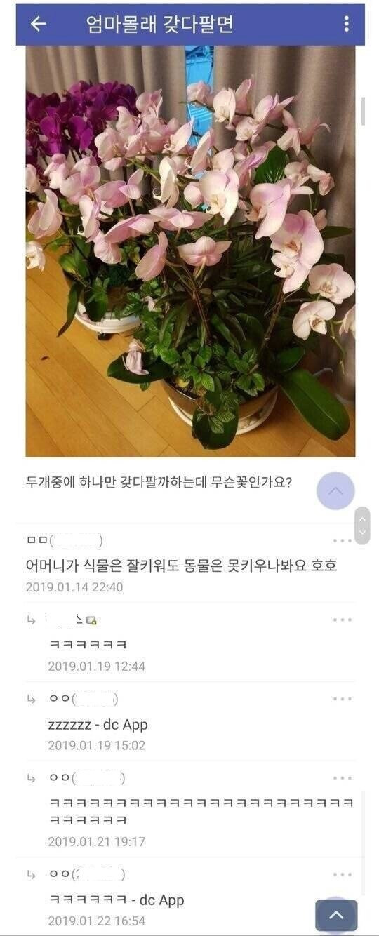 이 세상의 모든 것 모아모아 엄마 몰래 하나 팔라고 하는데 Daum 카페