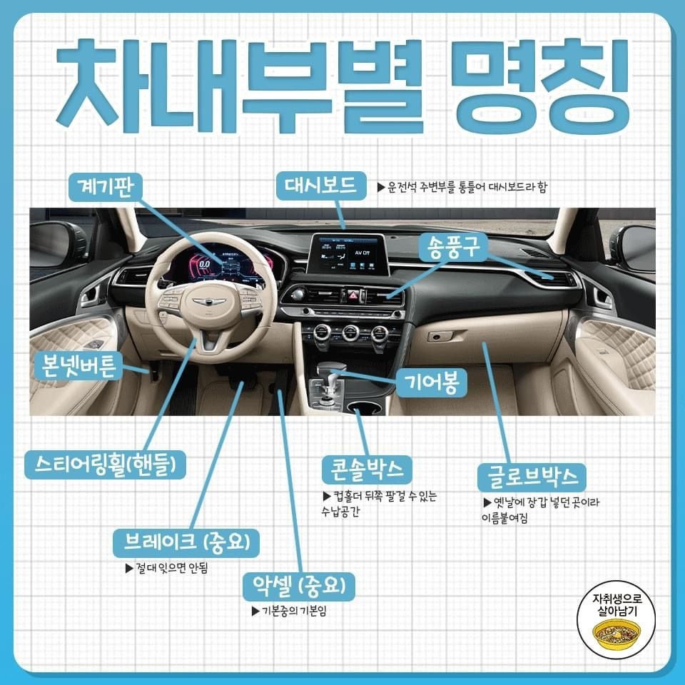 이 세상의 모든 것 모아모아 초보 운전자들이 알고있으면 좋은 자동차 정보 Daum 카페