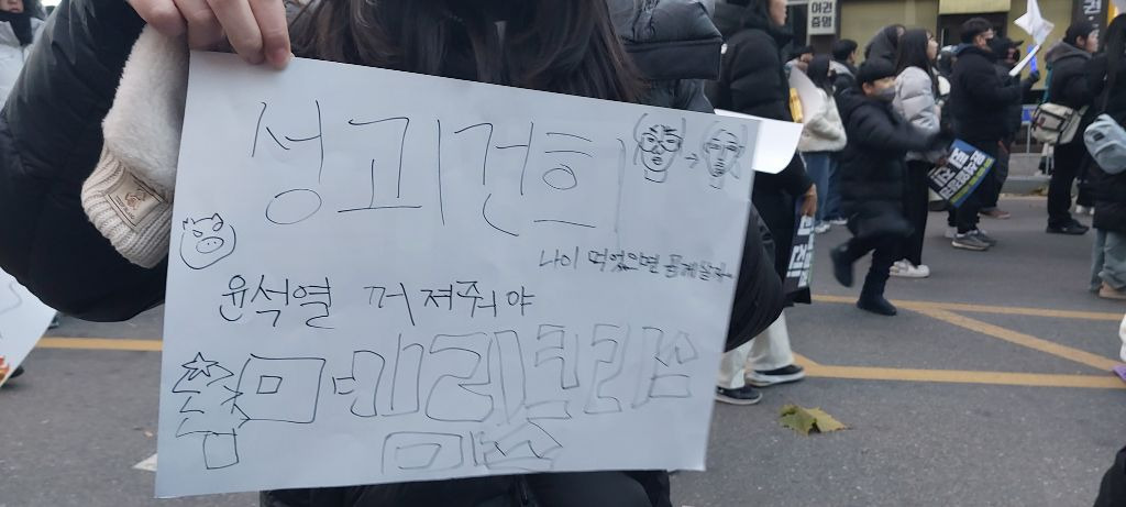 이 세상의 모든 것 모아모아 지방 집회 참여했는데 어린 여학생들이 직접 제작한 깃발과 플래카드ㅋㅋㅋㅋ Daum 카페