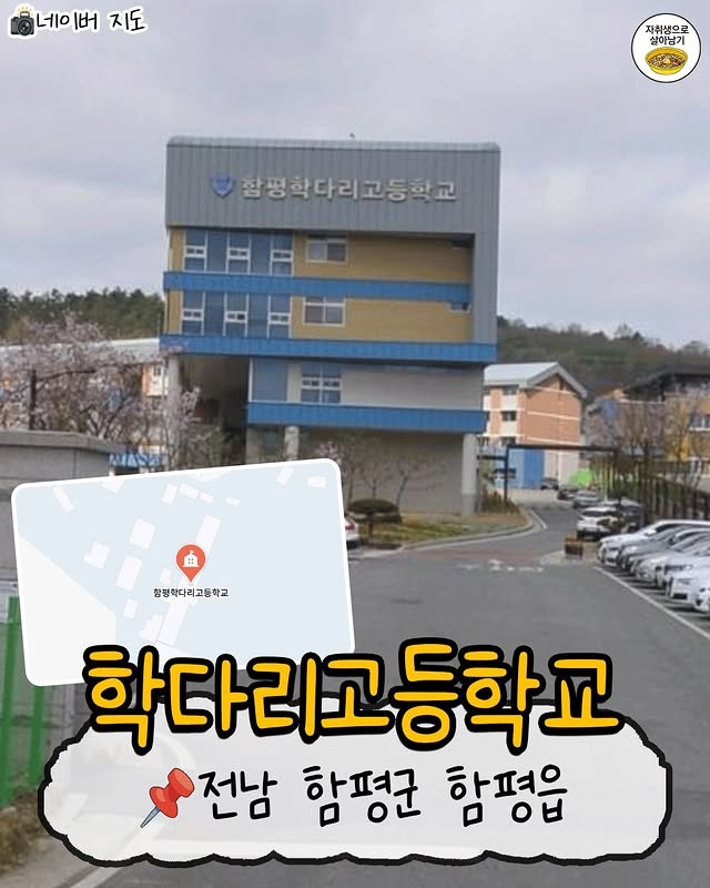 너네 이거 봤어 실제로 있는 신박한 고등학교 이름들 Daum 카페