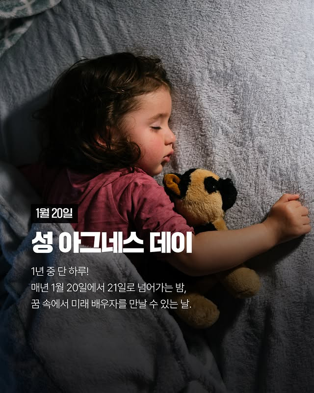 너네 이거 봤어 실제로 존재하는 특이한 기념일 모음 Daum 카페