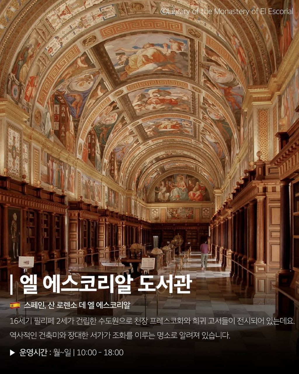 너네 이거 봤어 정보 세계에서 가장 아름다운 도서관 10곳 Daum 카페