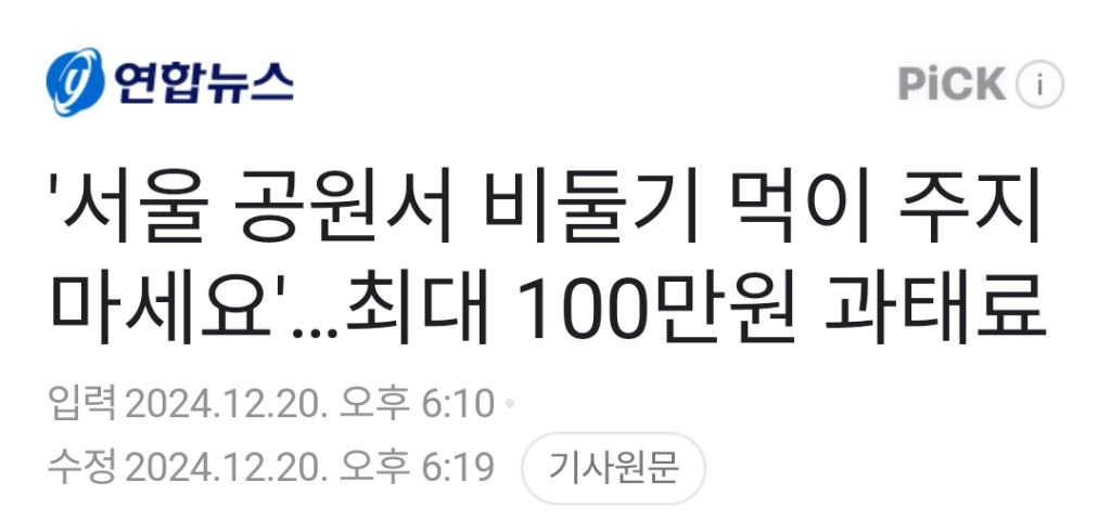너네 이거 봤어 2025년 3월부터 비둘기 먹이주면 벌금 낸다 Daum 카페