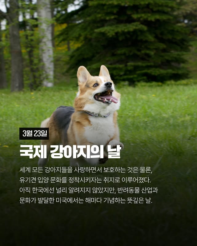 너네 이거 봤어 실제로 존재하는 특이한 기념일 모음 Daum 카페