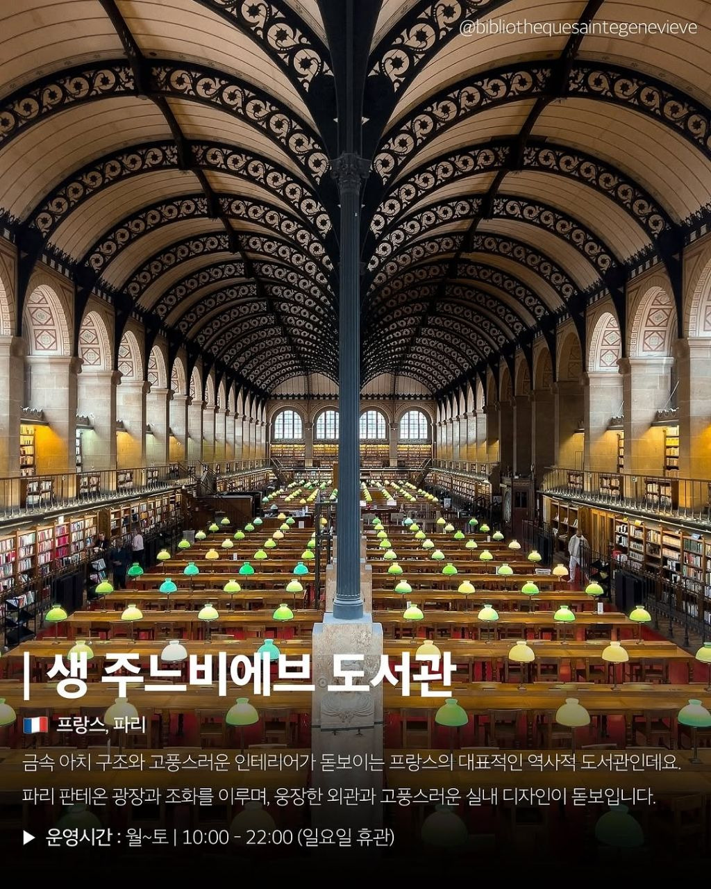 너네 이거 봤어 정보 세계에서 가장 아름다운 도서관 10곳 Daum 카페