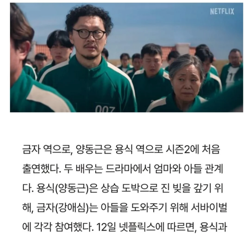 Ott 이야기 오징어게임2 엄마와 아들이 동시에 오징어게임 동반참가하는 설정 Daum 카페