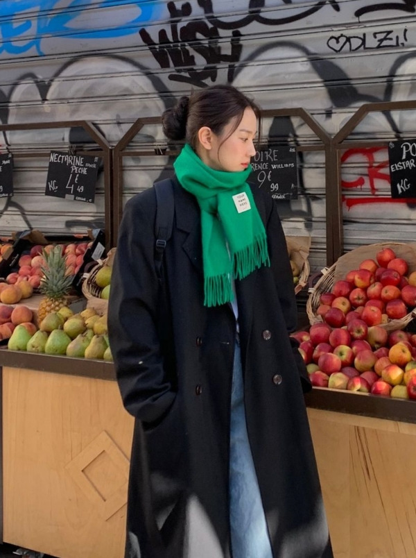연예인 데일리룩 겨울에 따라하기 좋은거 같은 장희령 패션 베스트는 Daum 카페