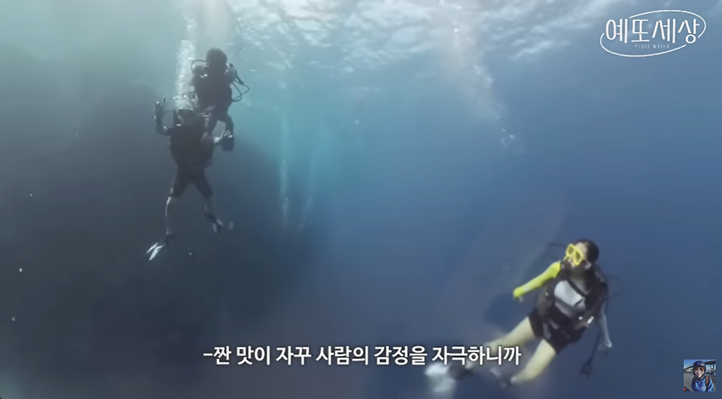 너네 이거 봤어 딸과 첫 해외 여행간 아버지 Daum 카페