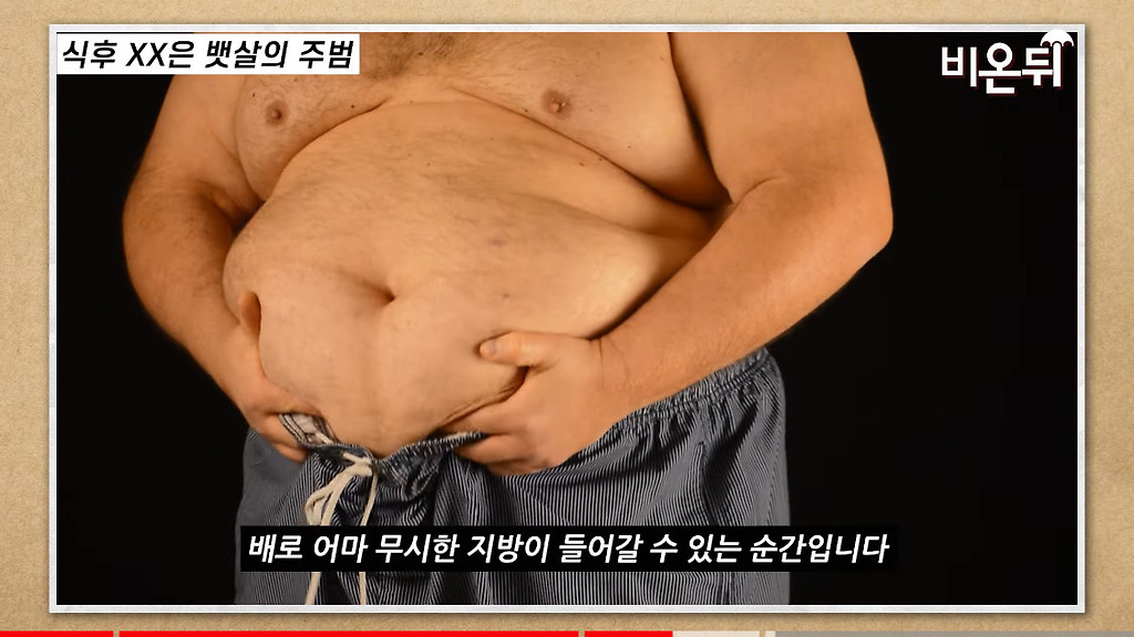 생생 지구통 전문가가 말하는 뱃살이 가장 많이 찌는 순간 Daum 카페