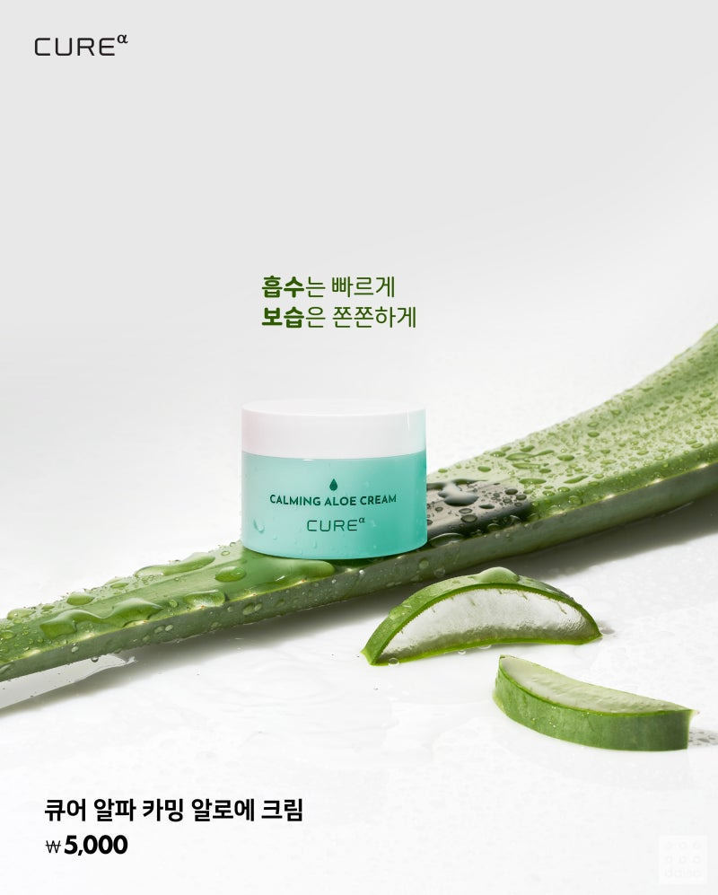 다이소 추천템이블 김정문 알로에 다이소 입점 Daum 카페