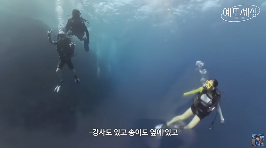 너네 이거 봤어 딸과 첫 해외 여행간 아버지 Daum 카페