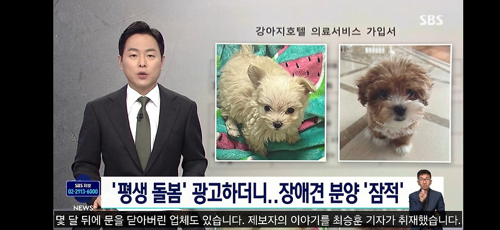생생 지구통 60만 원에 데려온 반려견이상한데 2주 뒤 갑자기 Daum 카페