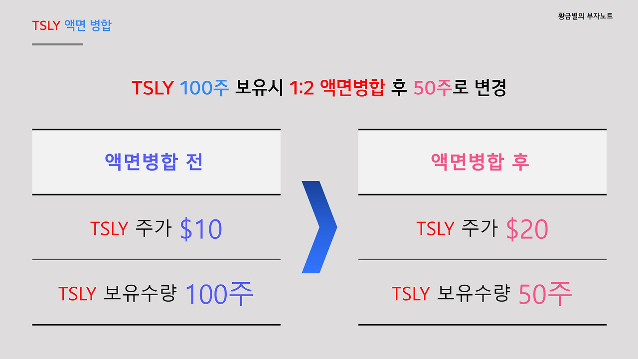 일드맥스 TSLY CONY 액면병합 이슈