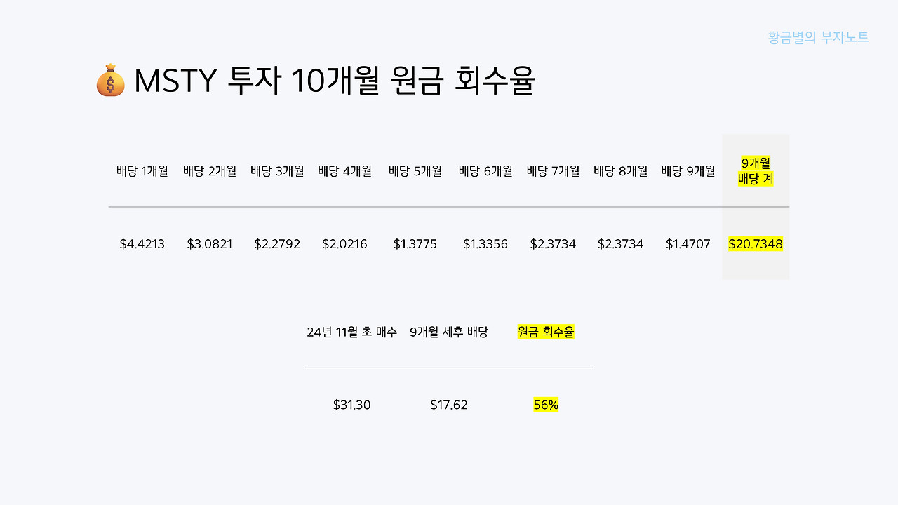 일드맥스 ETF는 MSTY만 투자하세요!!
