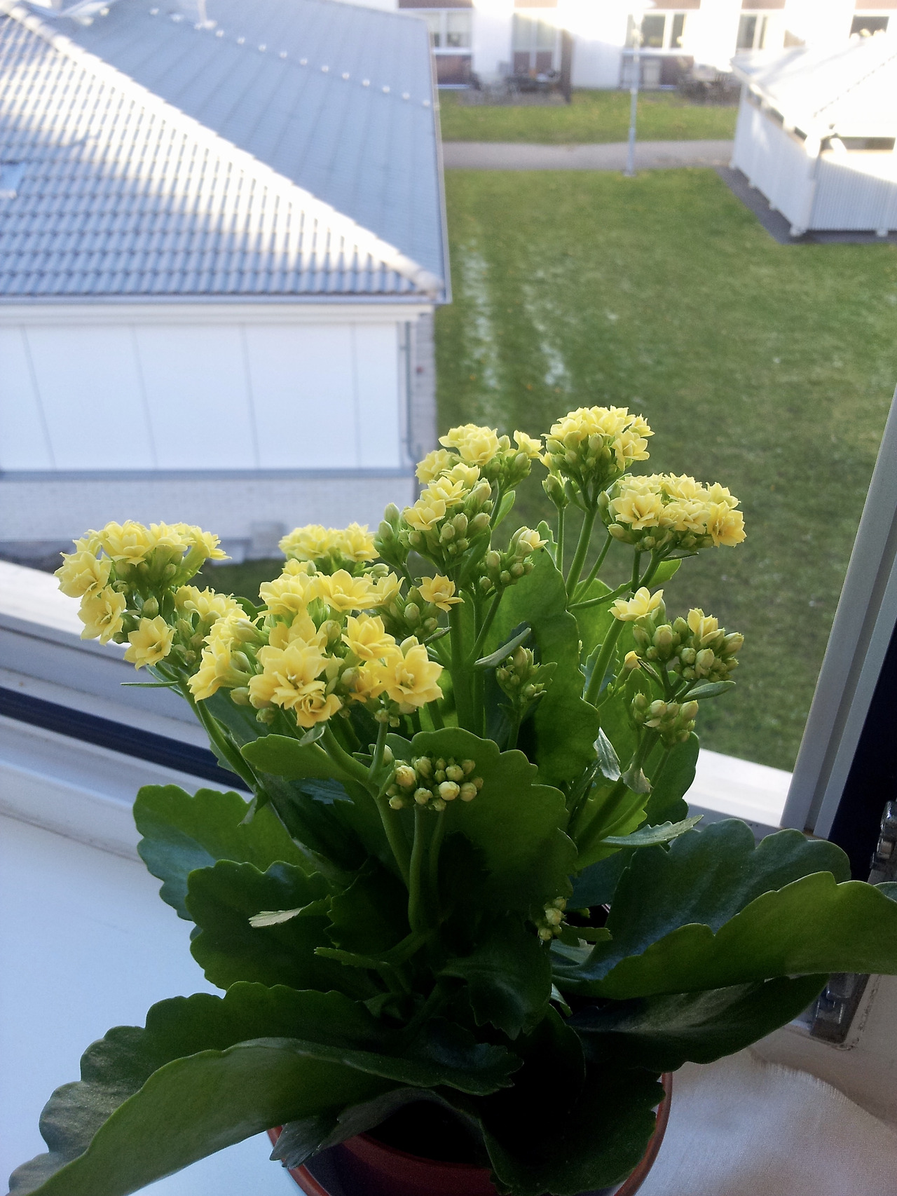 10화 스웨덴 Lyan 62 기숙사