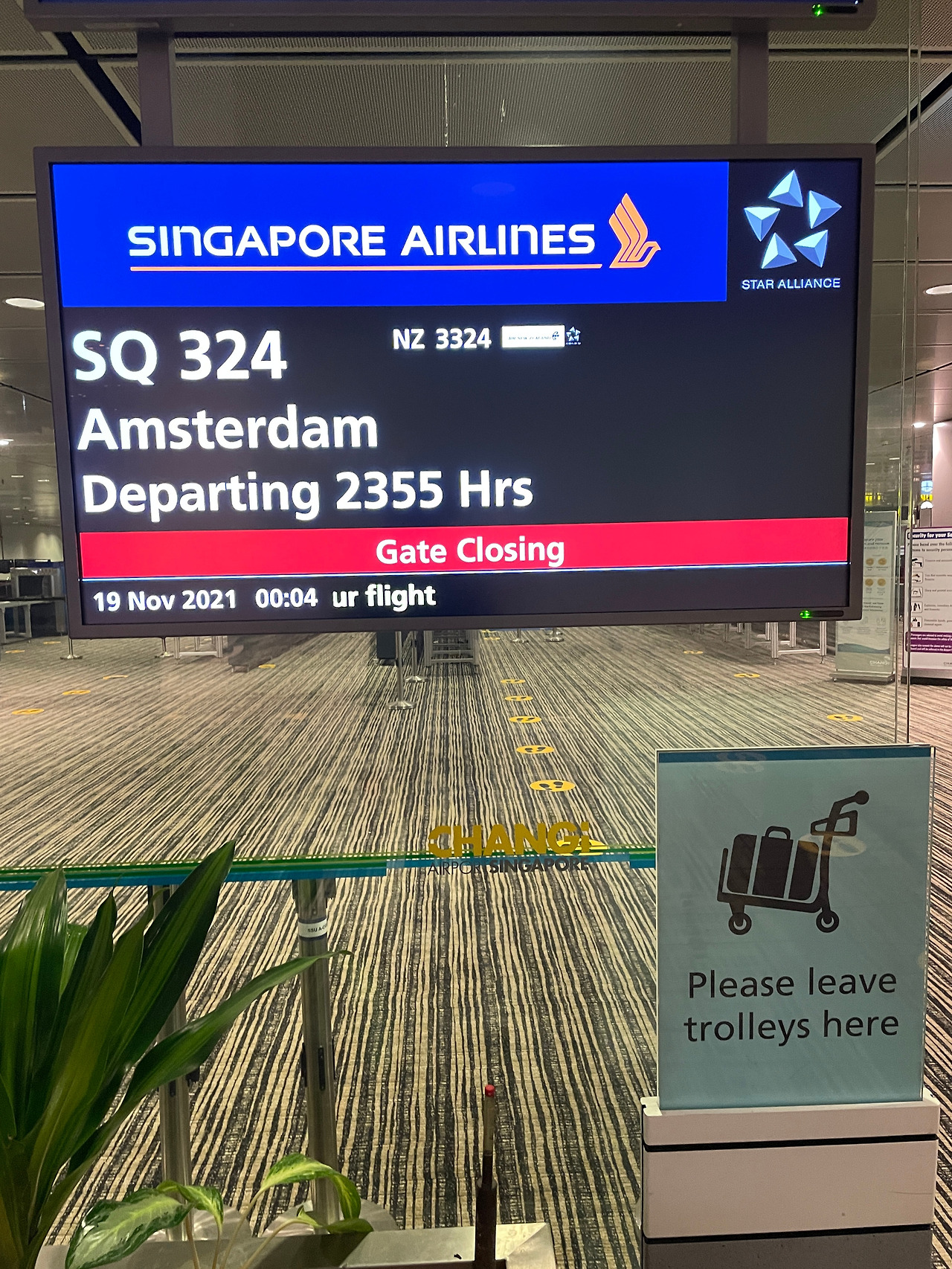 Singapore Changi Aiport T3
