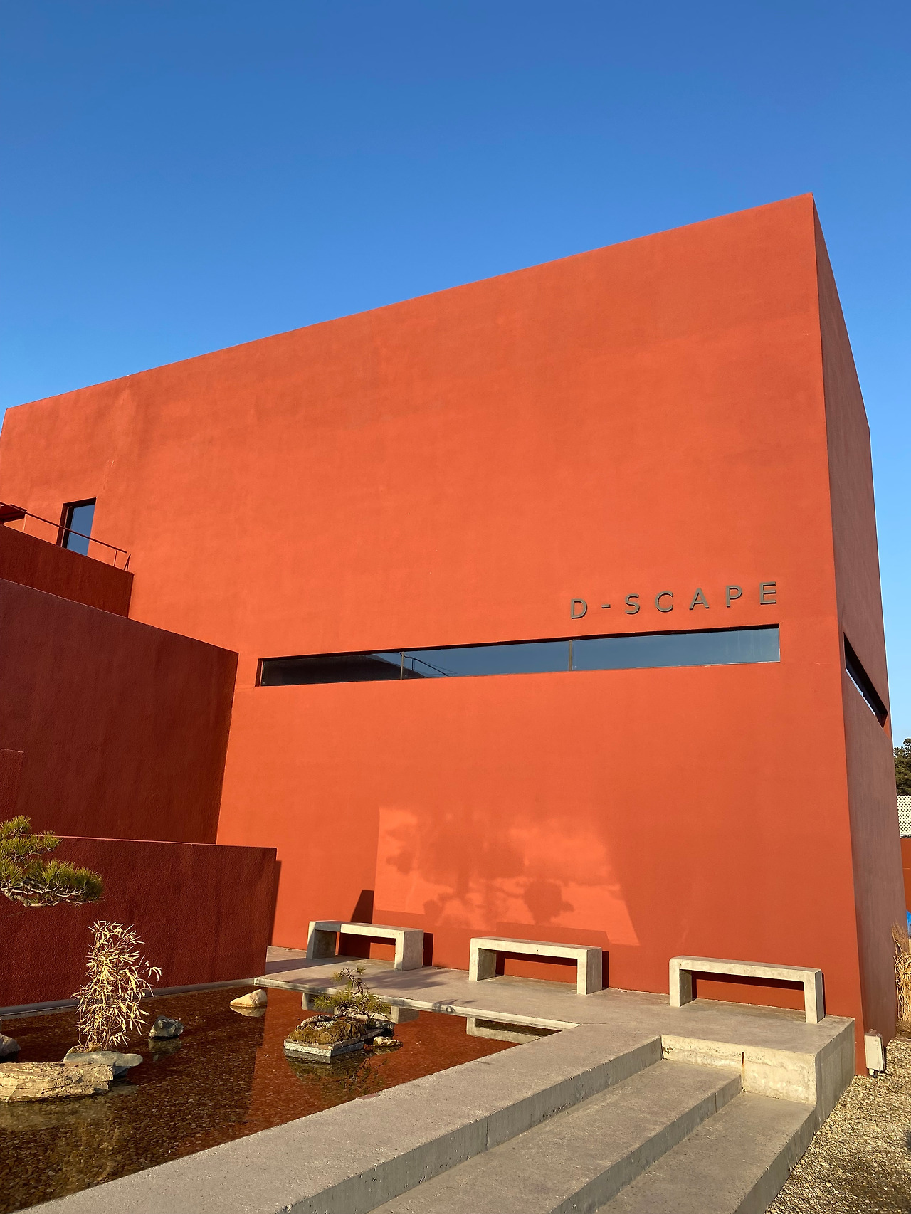 일산 디스케이프