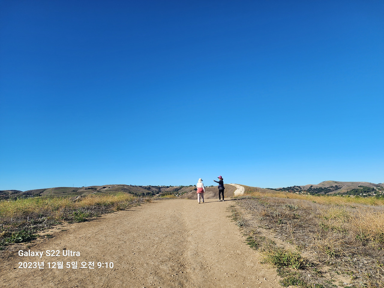 Can' falling in love with you