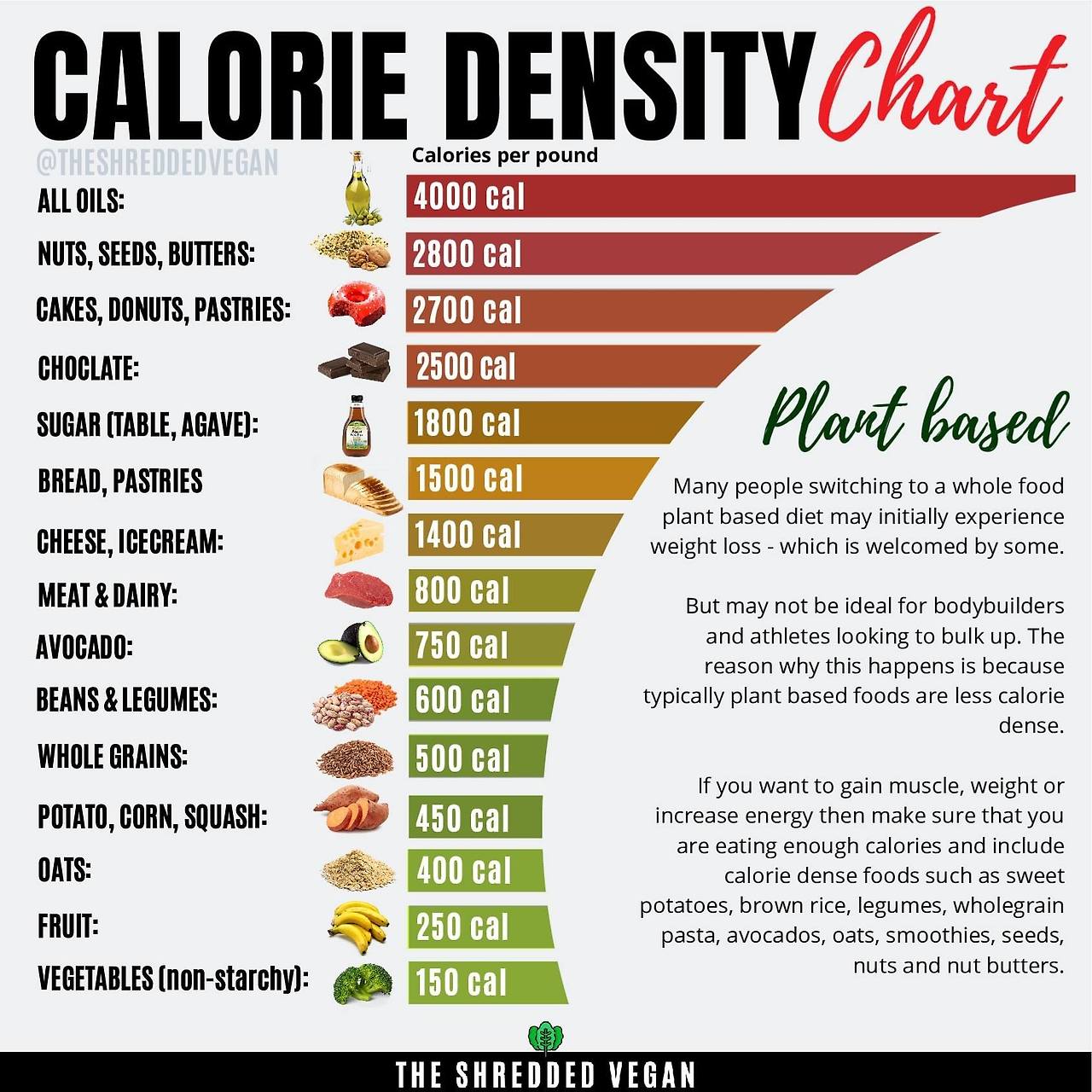 더 먹어도 살 안 찌는 음식들의 비밀은?
