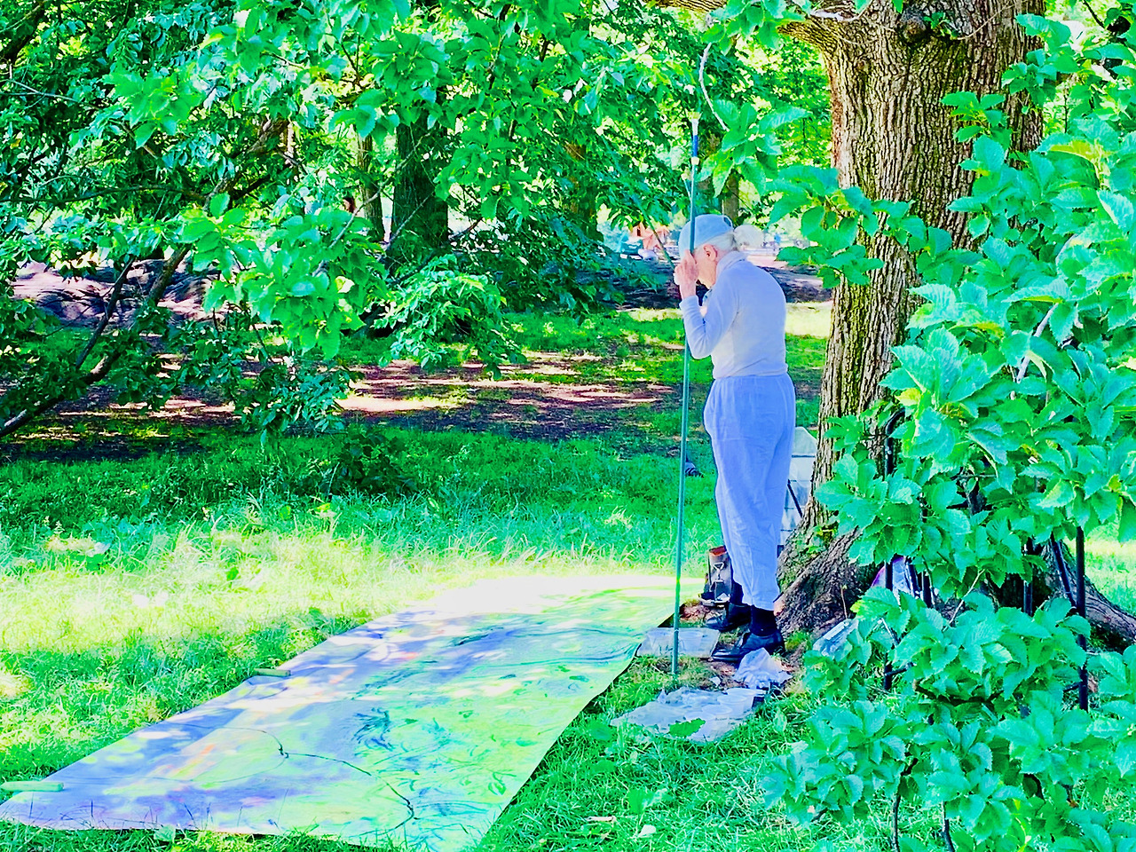 뉴욕의 여름_센트럴 파크(6월)