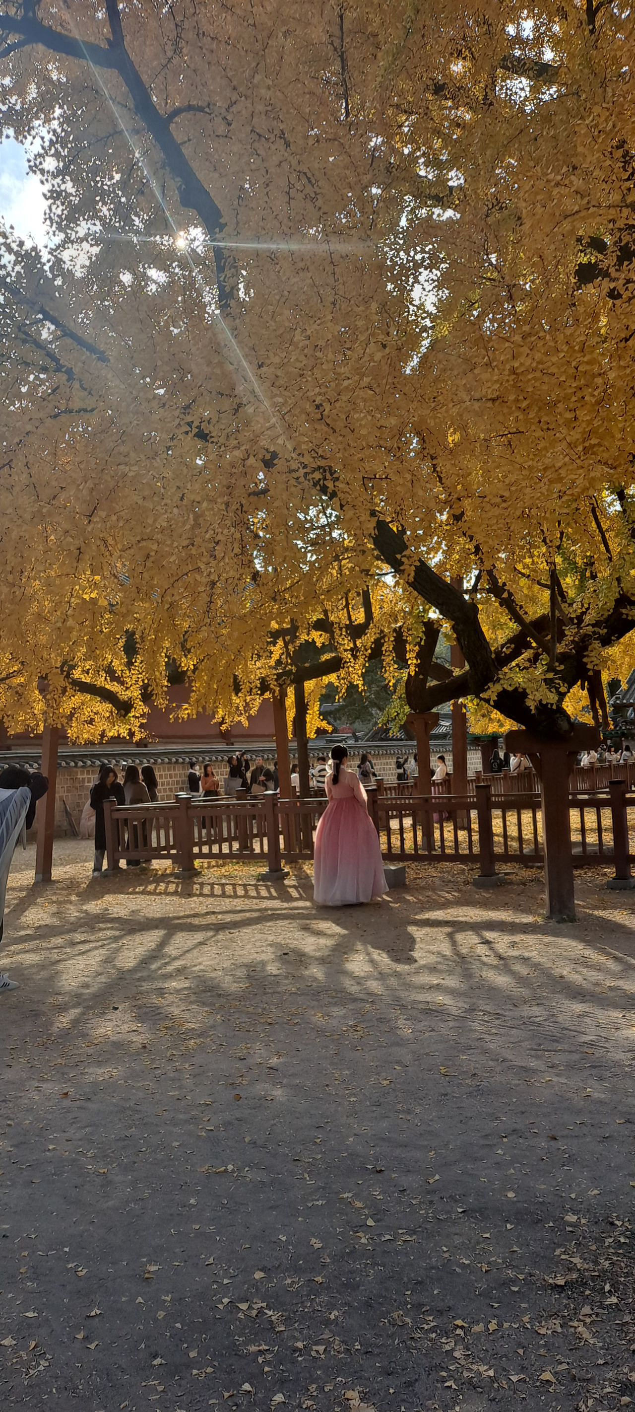 22년 가을을 담다 (3)